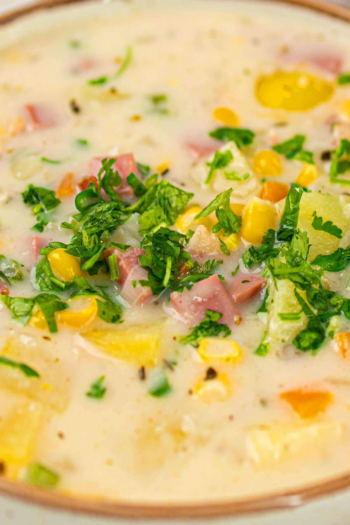 Slow Cooker Corn Chowder (Creamy) | Slow Cooker Foodie